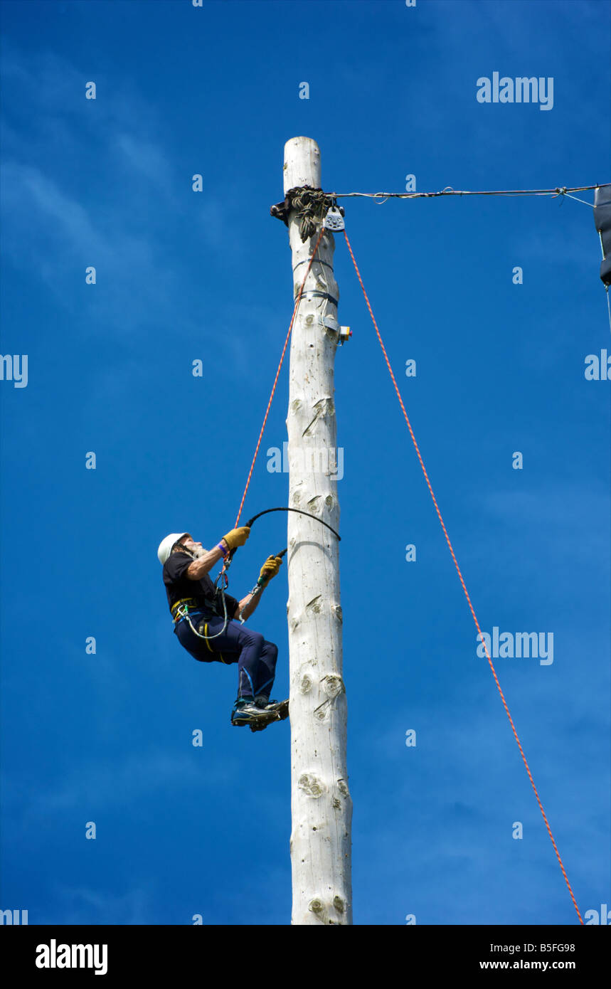 Pole tree trunk rope sport climbing safety helmet harness hi-res stock ...