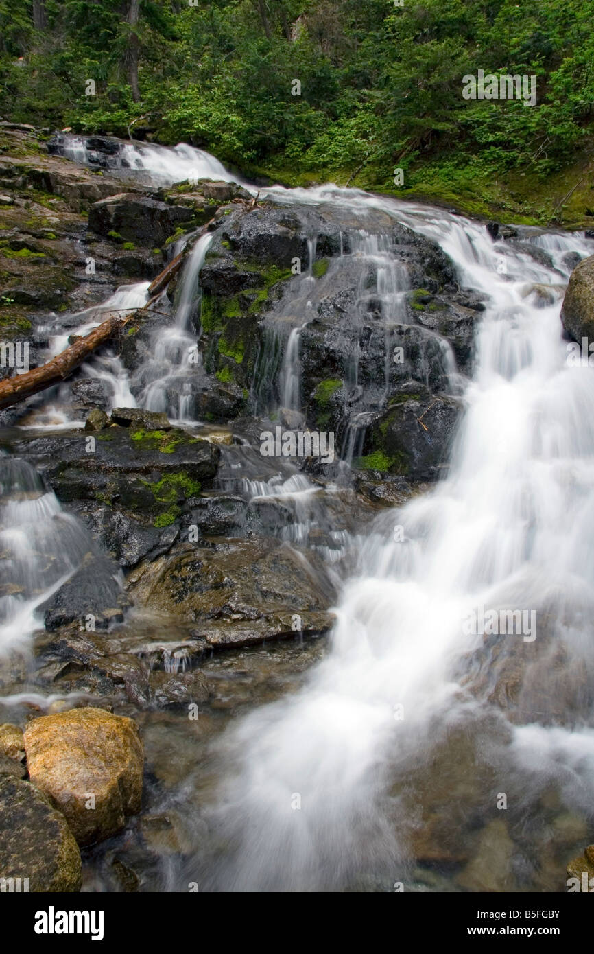 Fresh or salt water hi-res stock photography and images - Alamy