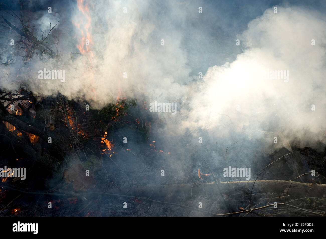 Fire in a garden Stock Photo - Alamy