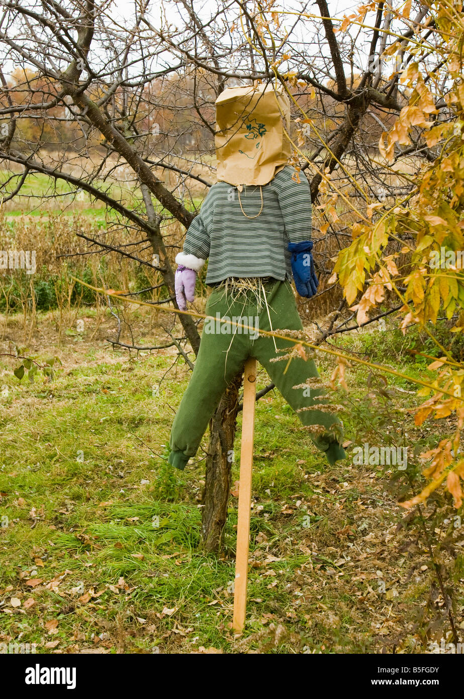 Scarecrow on farm hi-res stock photography and images - Alamy