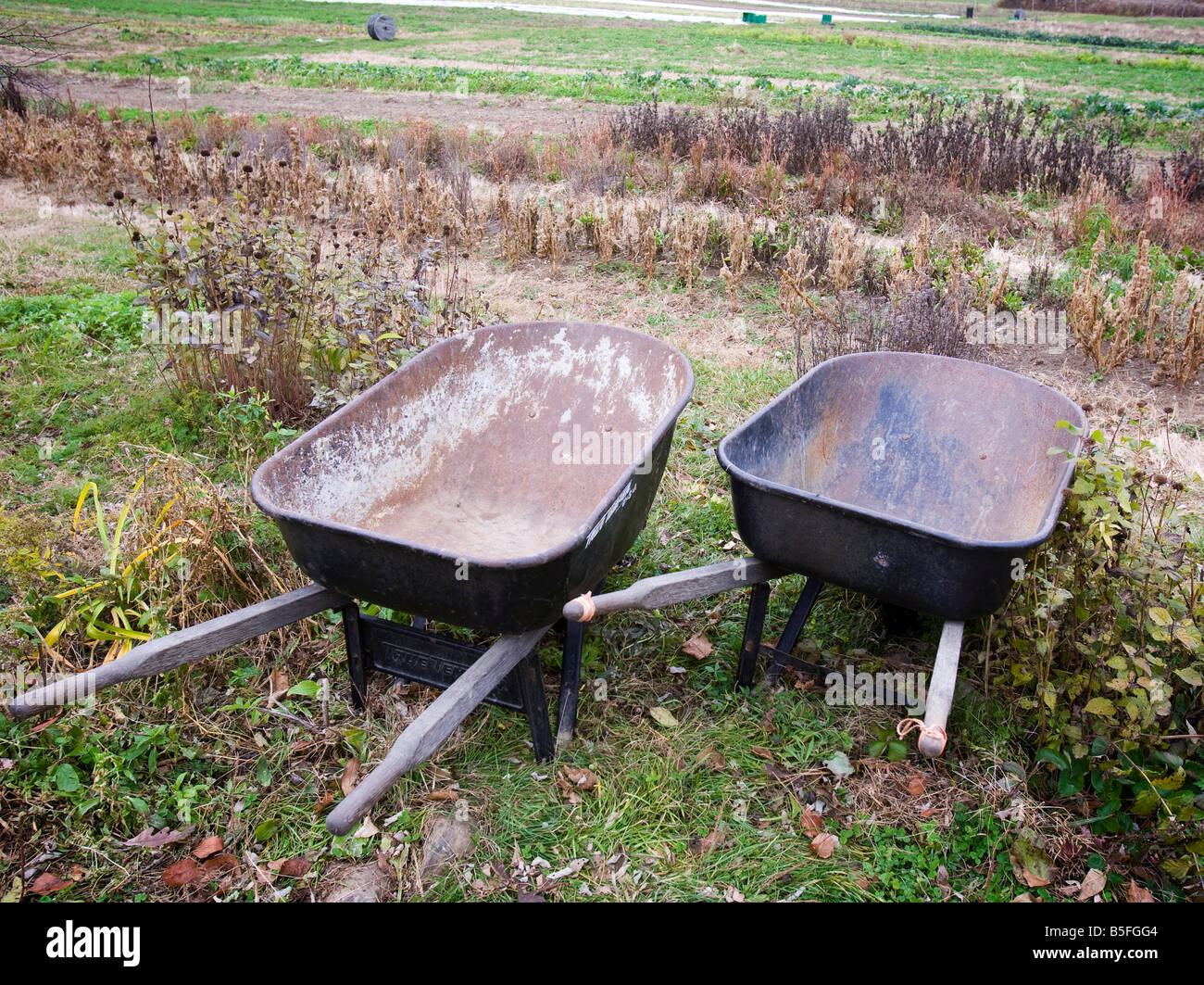 Empty wheelbarrows hi-res stock photography and images - Alamy