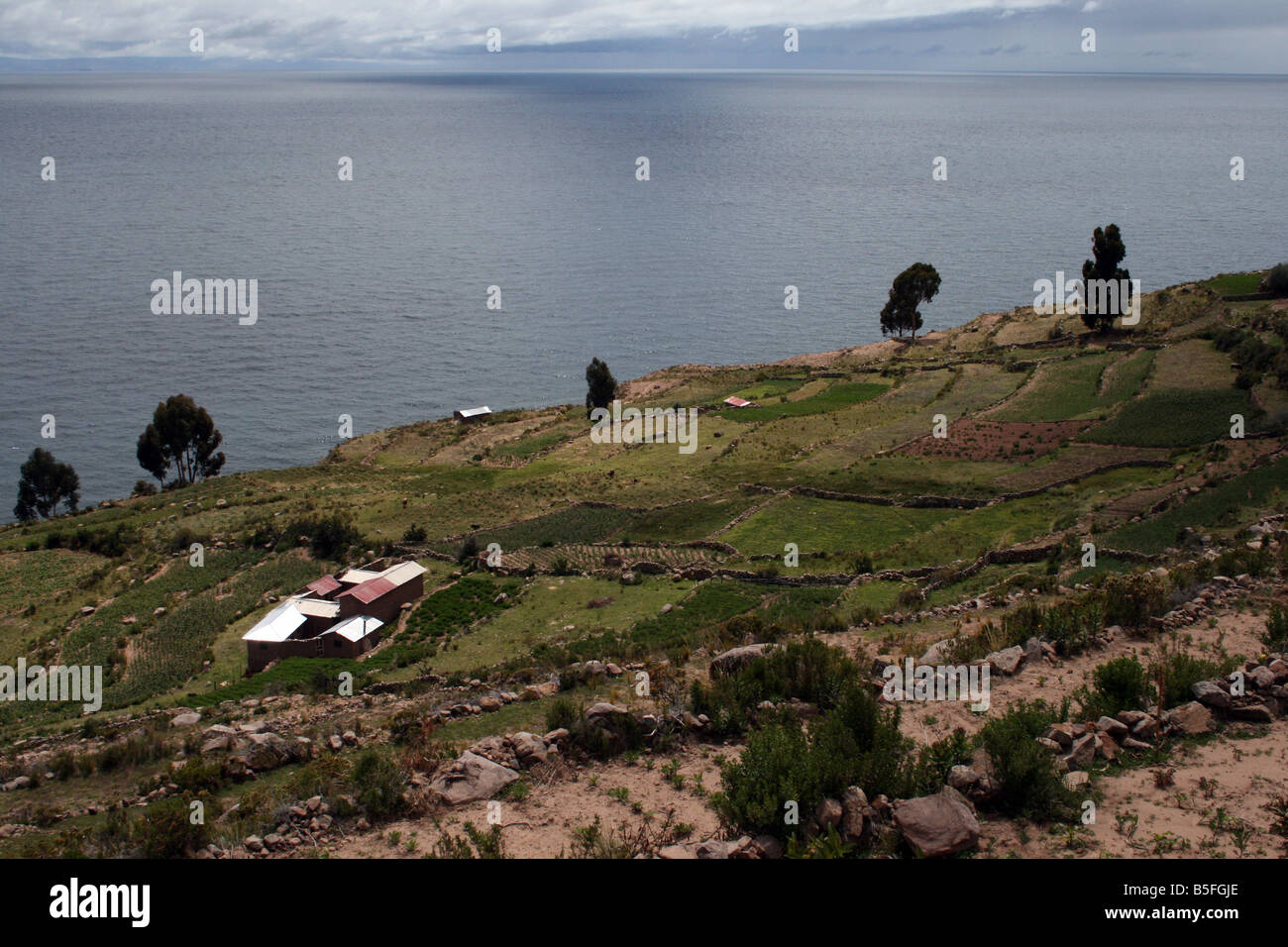 Perù Titicaca Lake taquile island terrace cultivation Stock Photo - Alamy
