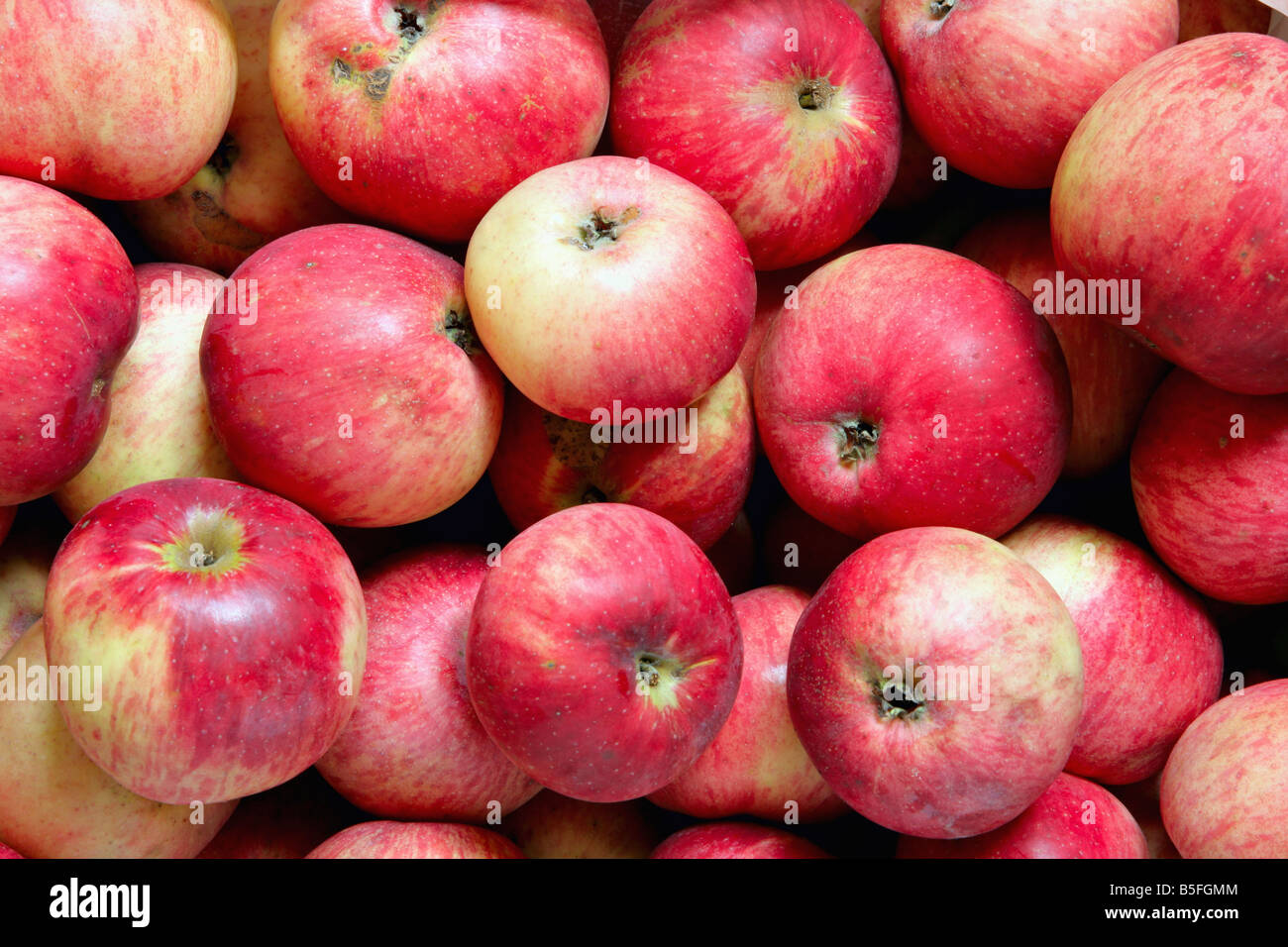 Heap of red ripe apples Stock Photo - Alamy