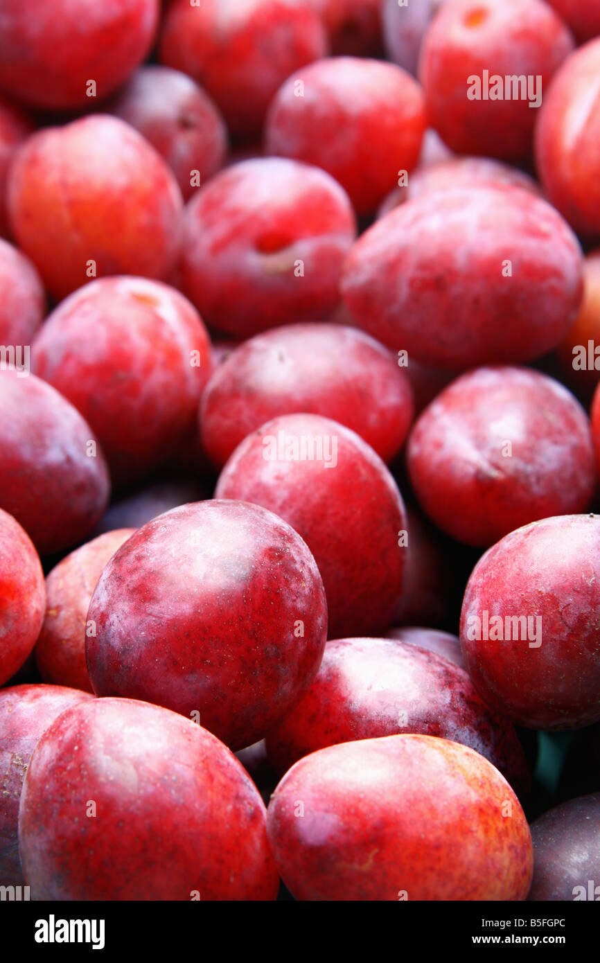 Lots red ripe plums may be used as background Stock Photo - Alamy