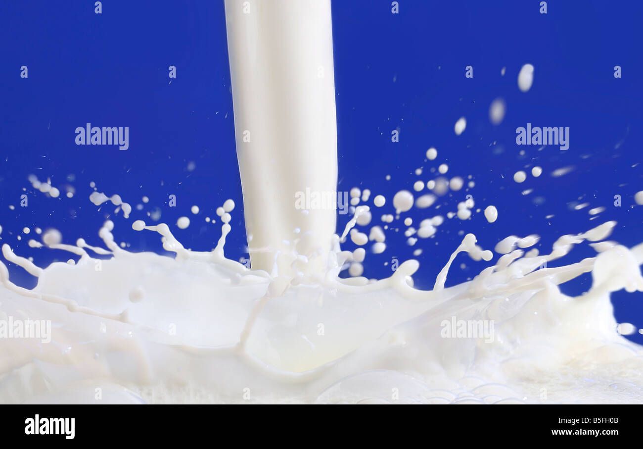 Milk flowing with blue background Stock Photo - Alamy