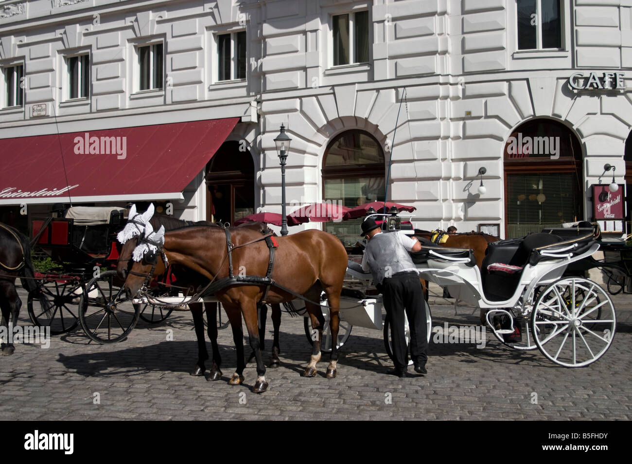 Viennese horse drawn carriage hi-res stock photography and images - Alamy