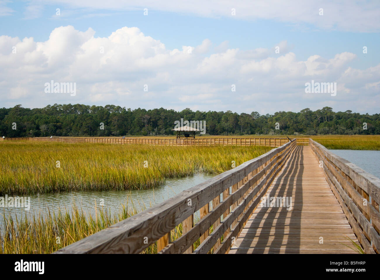 Huntington beach state park sc High Resolution Stock Photography and Images - Alamy