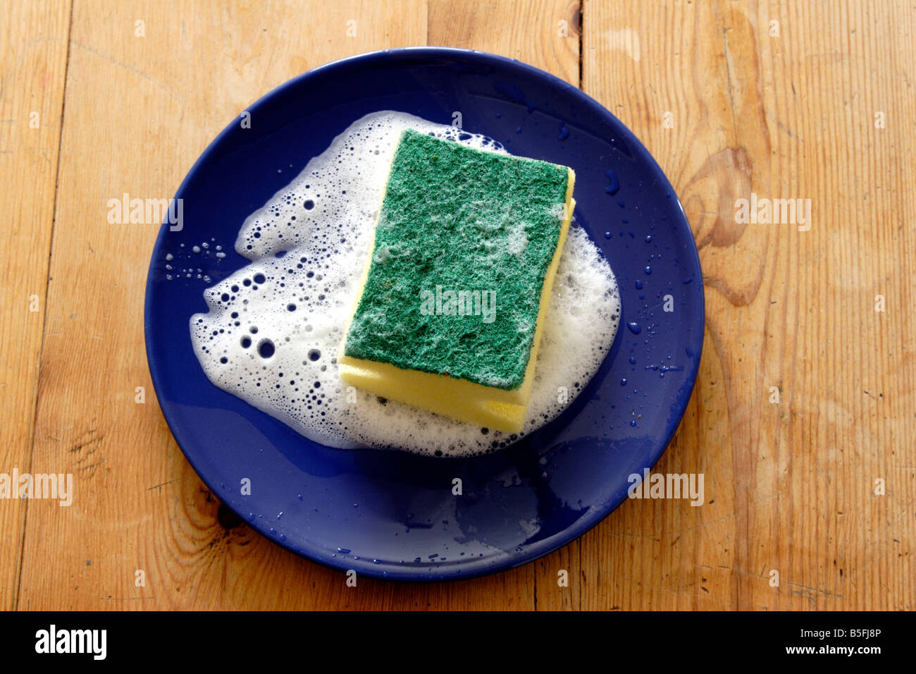 Soapy sponge cleaning plate close up Stock Photo - Alamy