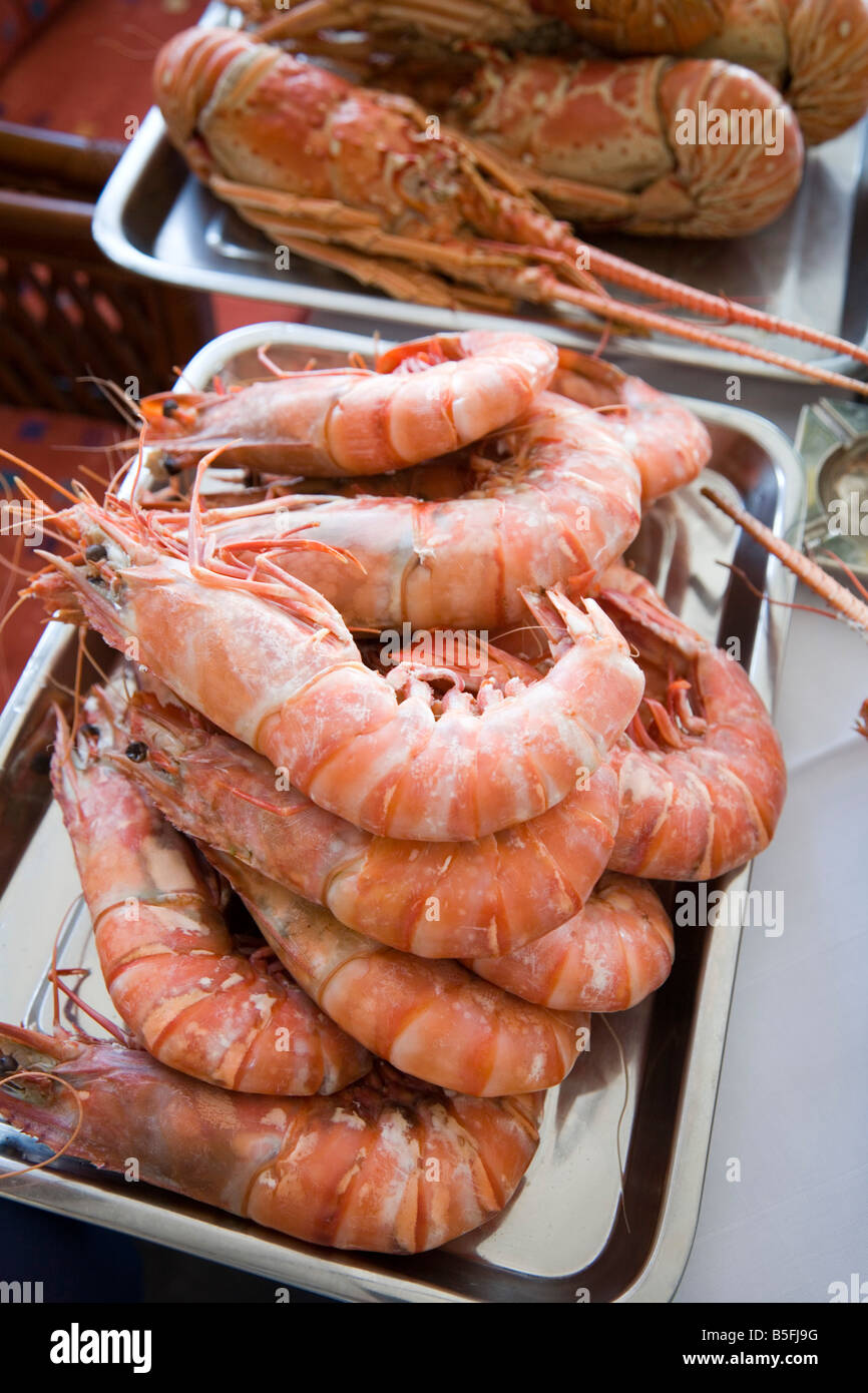 Shellfish display hi-res stock photography and images - Alamy