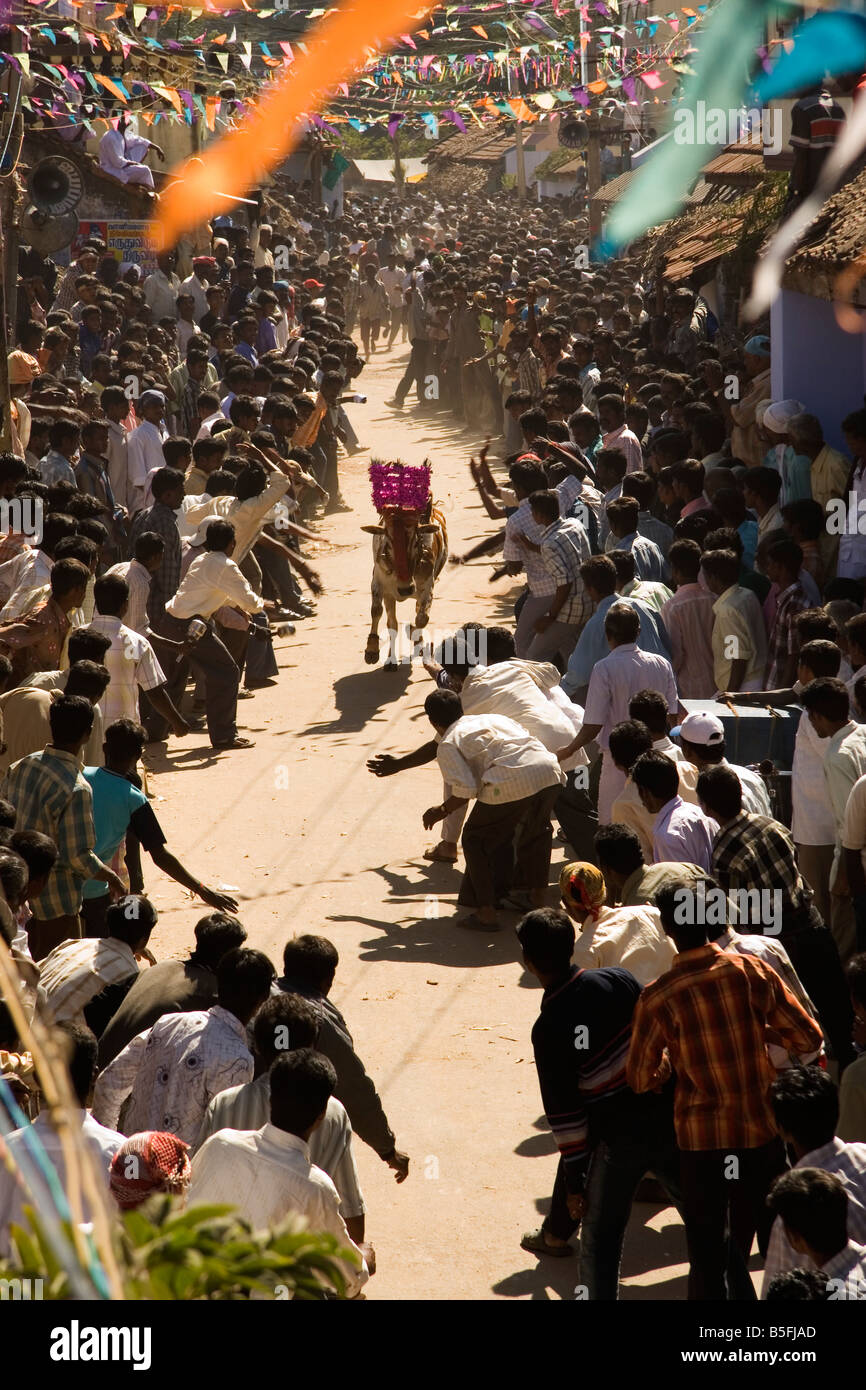 Tamil Nadu Crowd Street Stock Photos & Tamil Nadu Crowd Street Stock ...