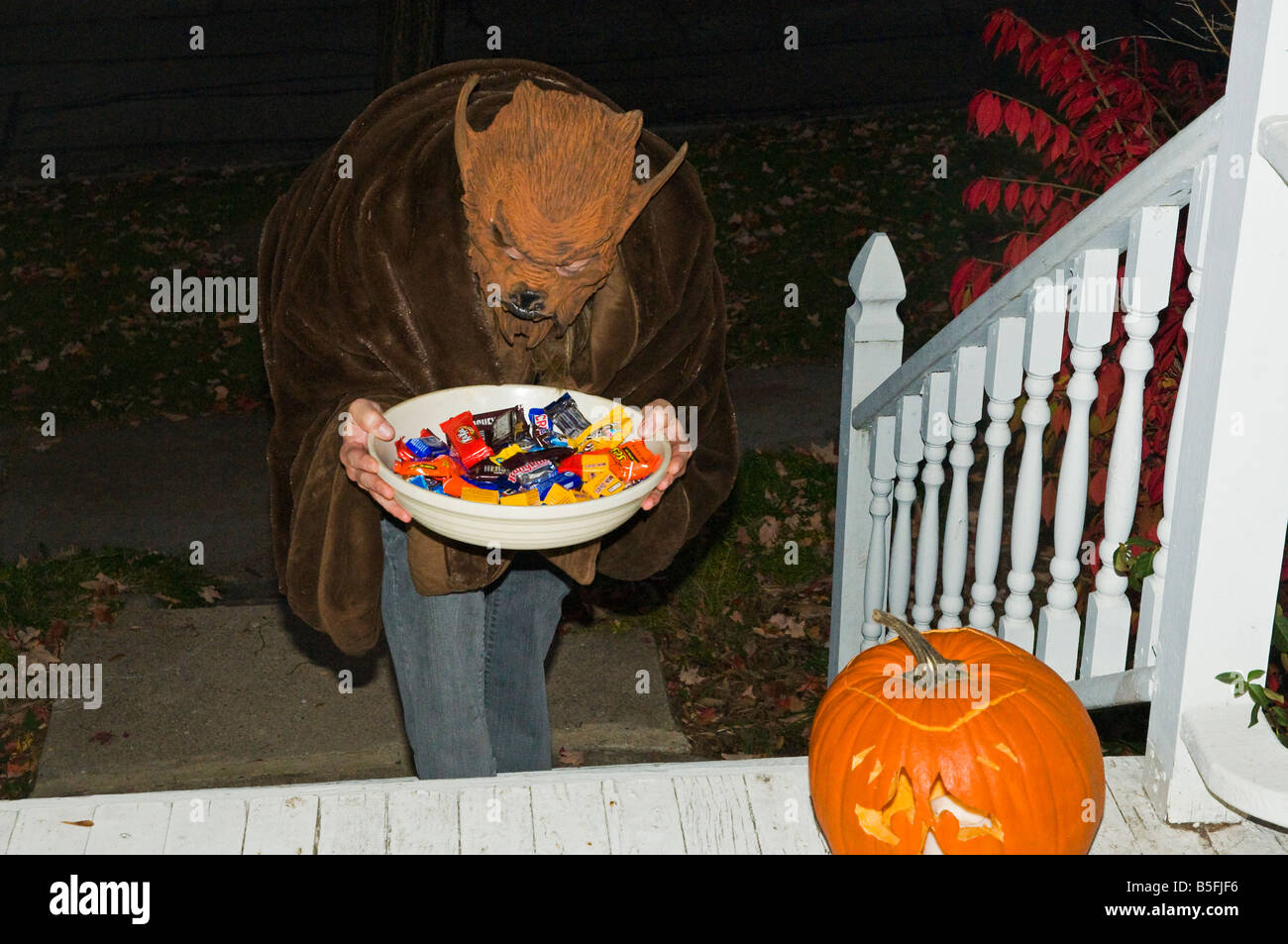 Werewolf taking candy with carved pumpkin on Halloween front porch ...