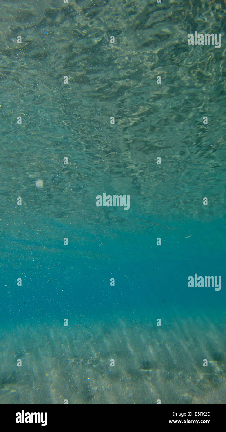 blue water in shallow sandy seabed Stock Photo - Alamy