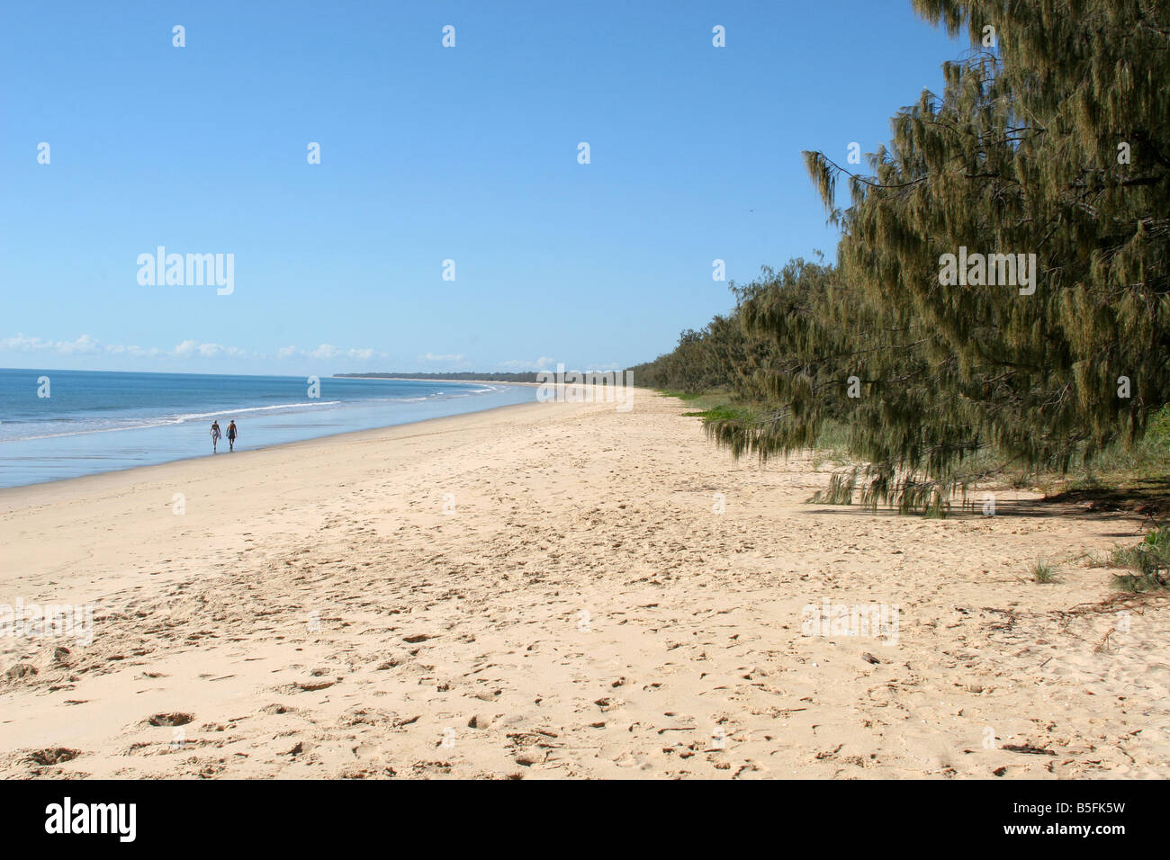 Queensland beach Australia Stock Photo - Alamy