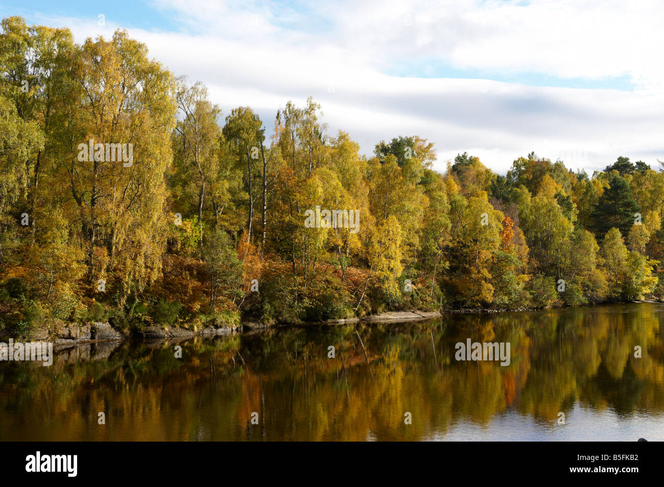 Cambus O May River Dee Scotland UK in the autumn Stock Photo - Alamy