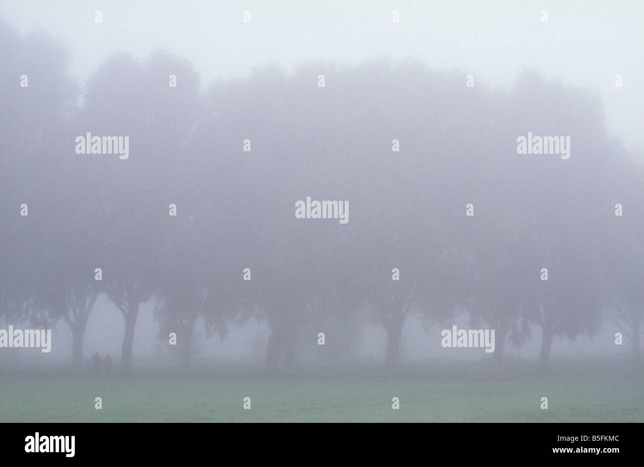 Nene river country park hi-res stock photography and images - Alamy