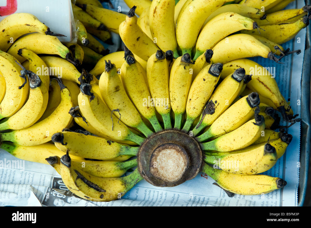 Semi ripe banana hi-res stock photography and images - Alamy