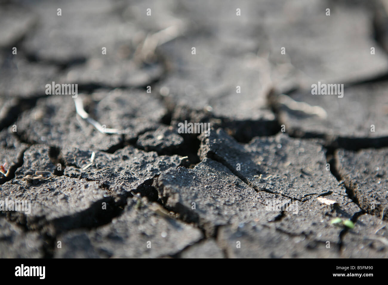 Environmen hi-res stock photography and images - Alamy