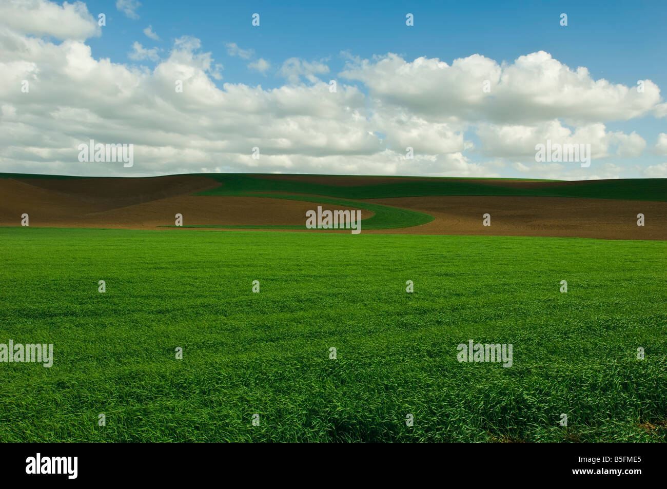 Green grass along the palouse, southeastern washington, USA Stock Photo ...