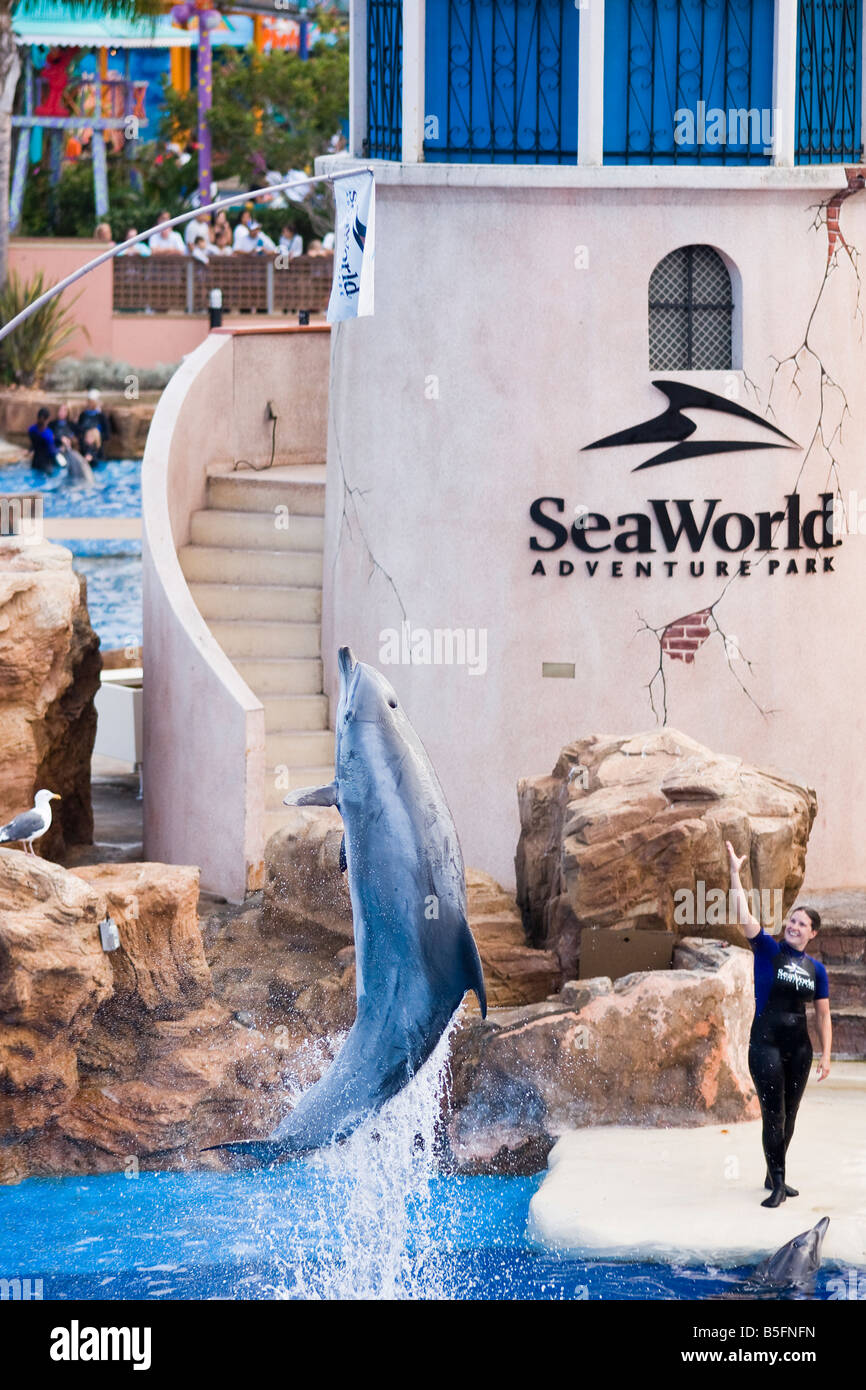 Dolphin jump high hi-res stock photography and images - Alamy