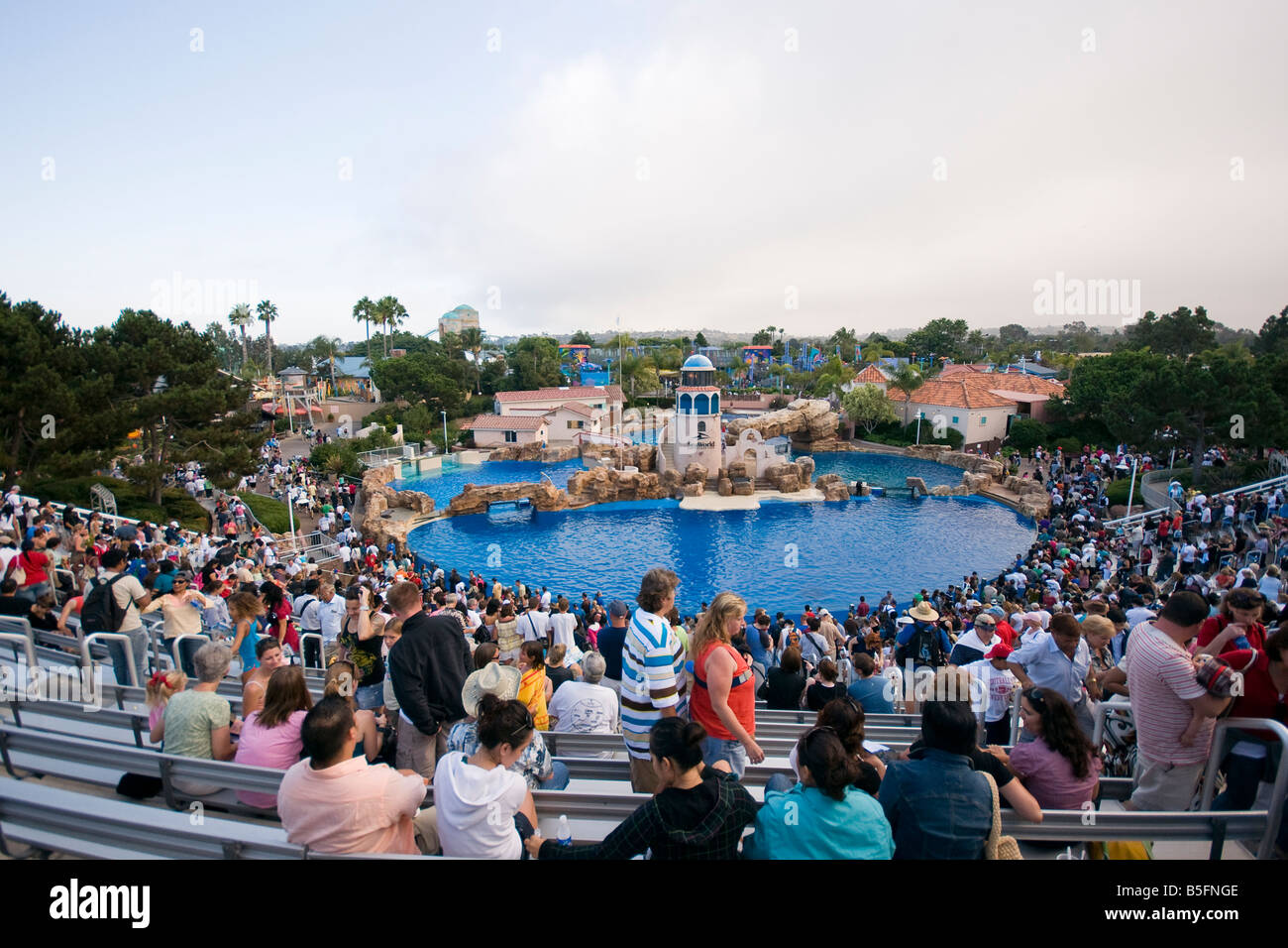 A view of SeaWorld's Dolphin Stadium from the crowd Stock Photo - Alamy
