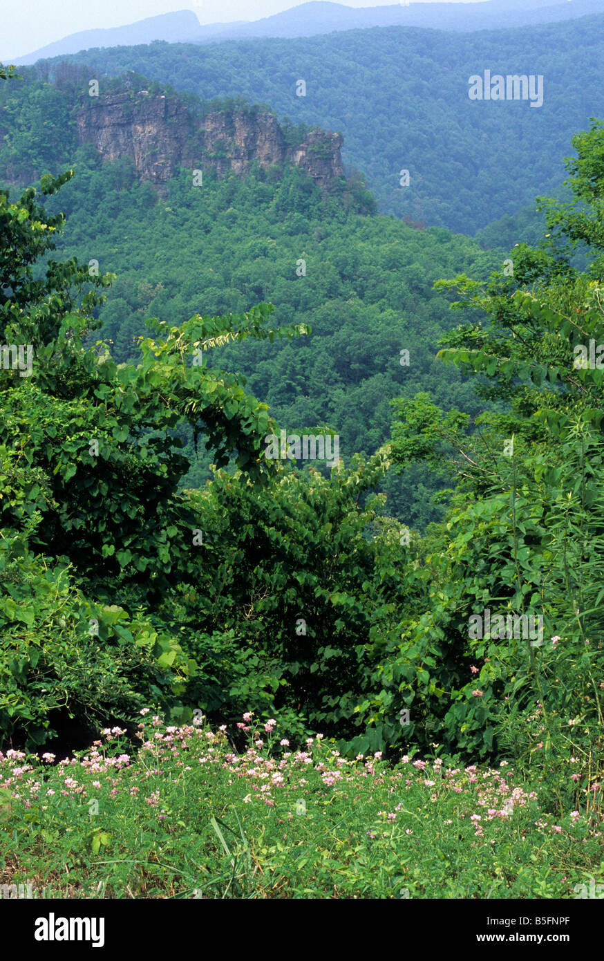 Breaks Interstate Park, VA-KY; Summer view over canyon formed by ...
