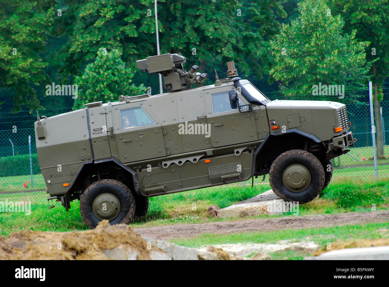 Dingo 2 hi-res stock photography and images - Alamy