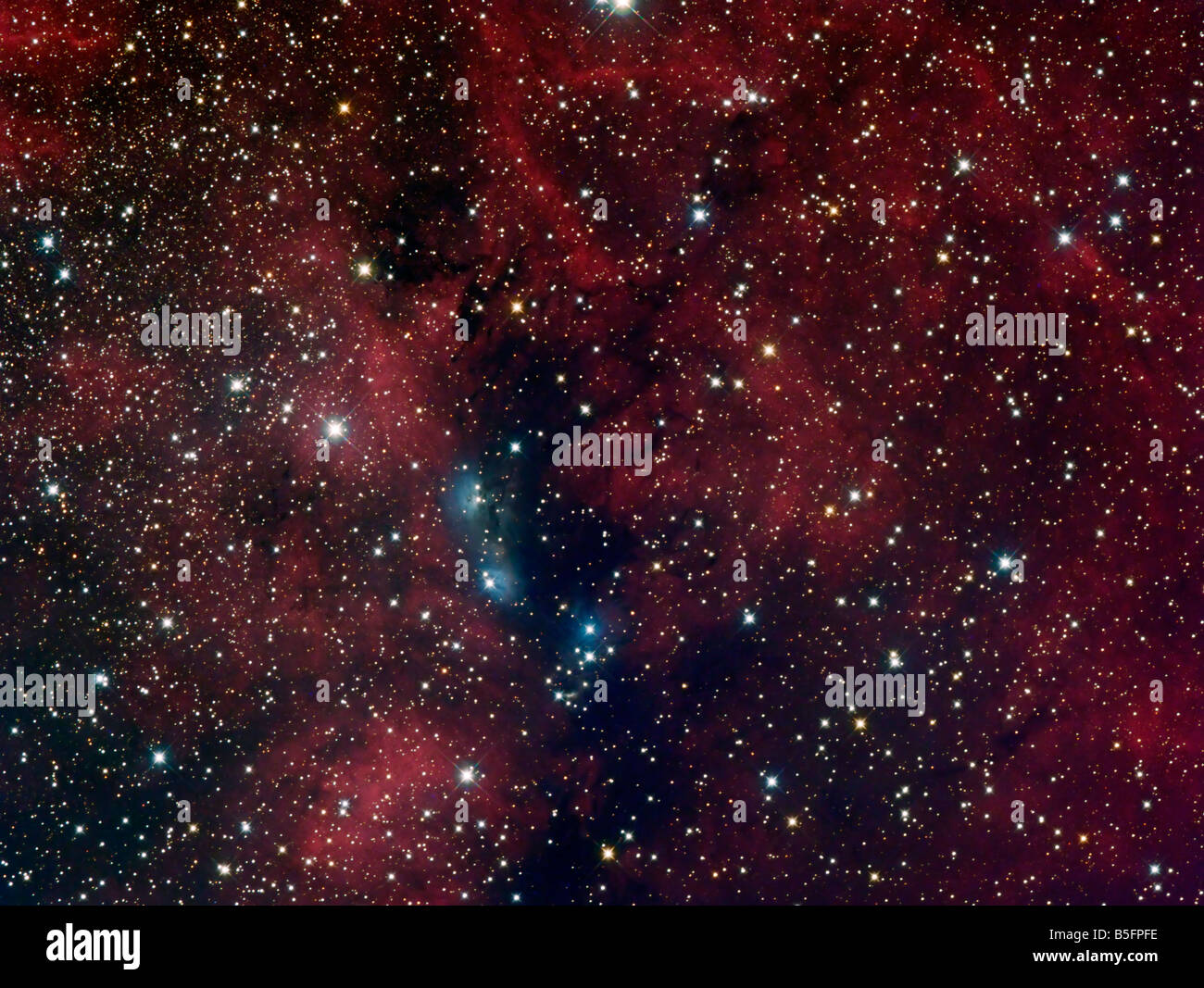 NGC 6914, reflection nebula in Cygnus Stock Photo - Alamy