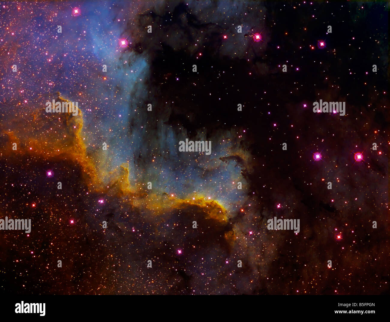 Close-up view of North America nebula, NGC 7000, an emission nebula in the constellation Cygnus ...