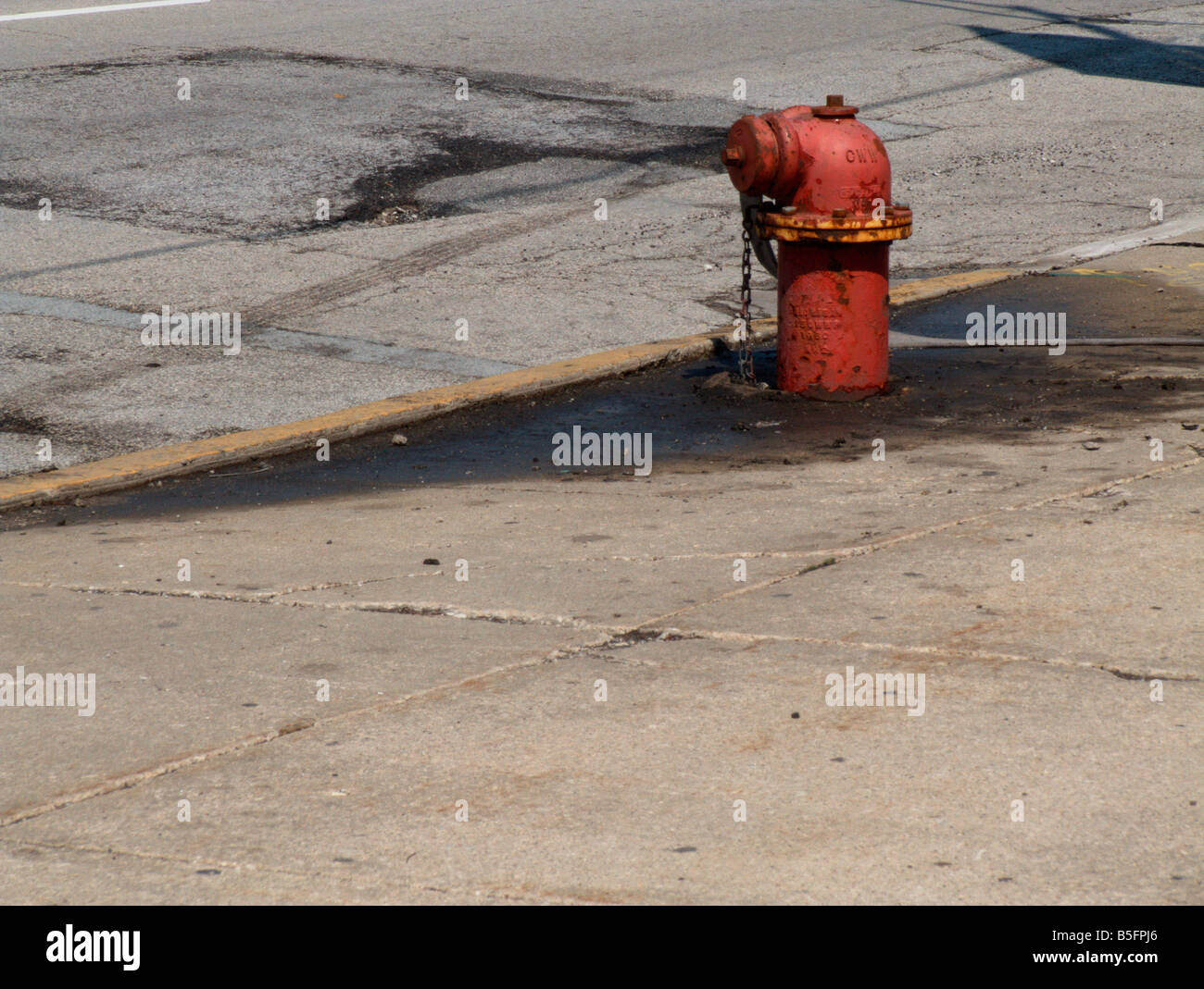 Fire Hydrant. South Columbus Drive. Chicago, Illinois. USA Stock Photo ...