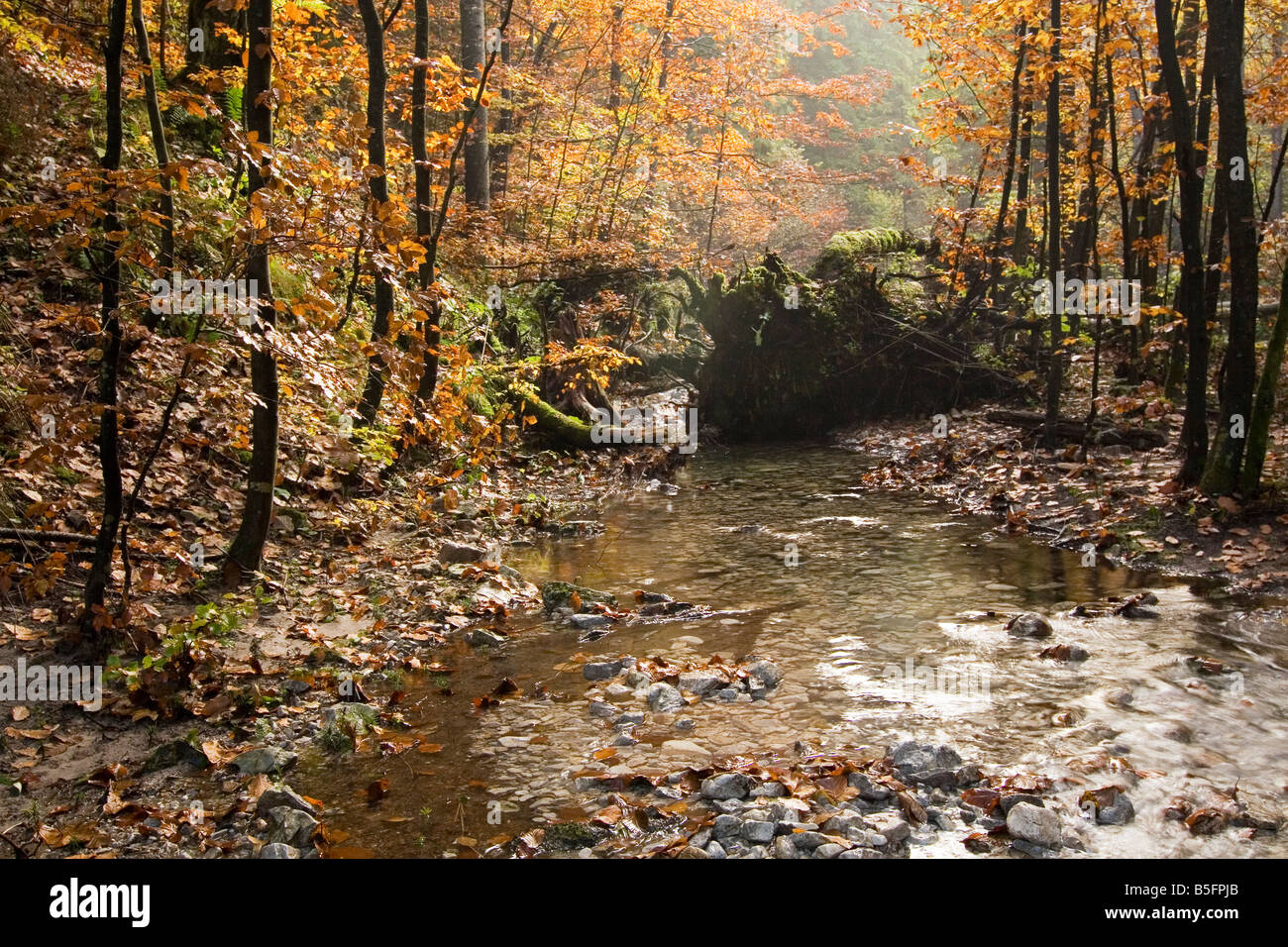 Slovensky raj hi-res stock photography and images - Alamy