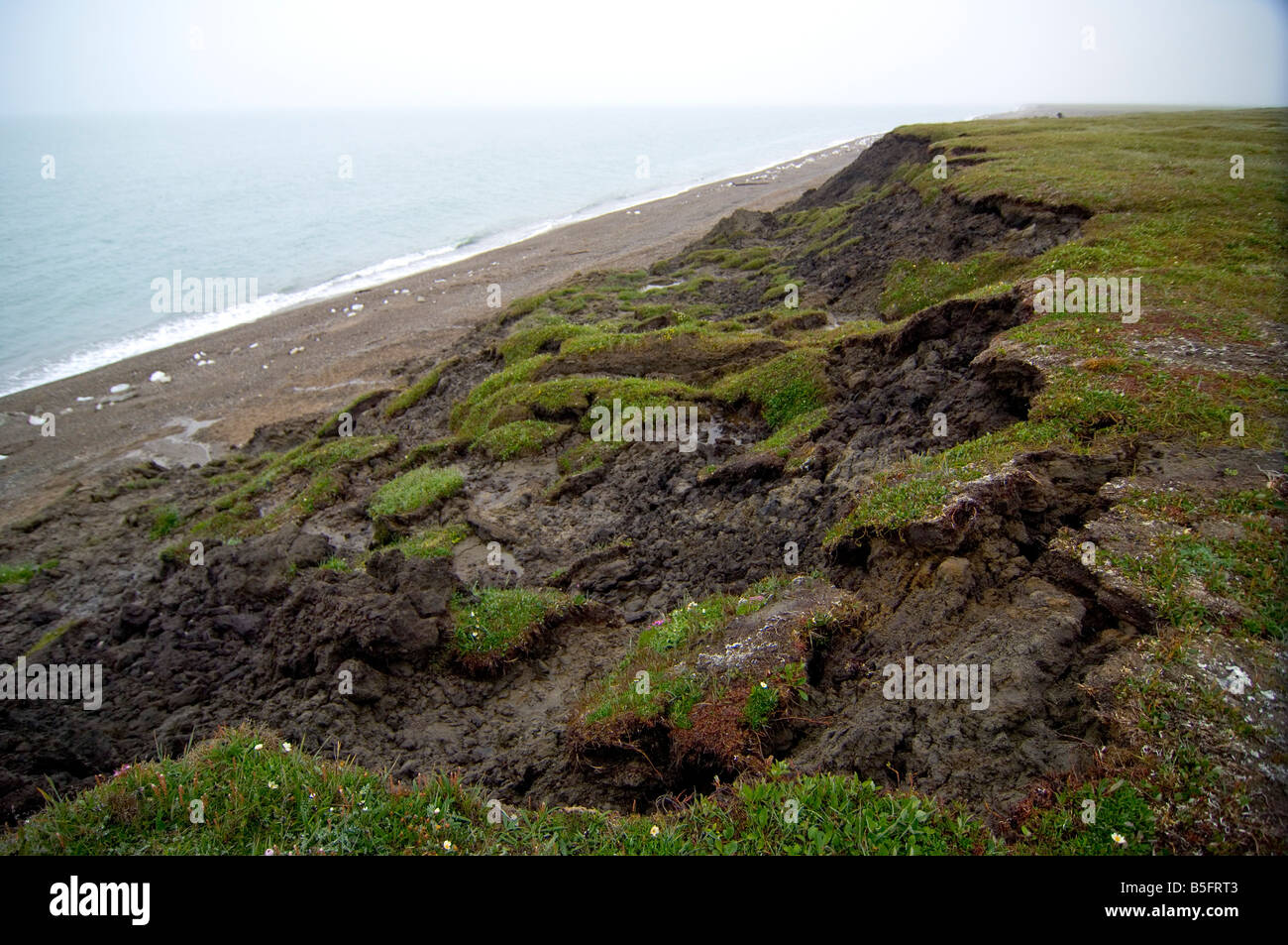 erosion due to melting permafrost rising sea levels and surf along the ...