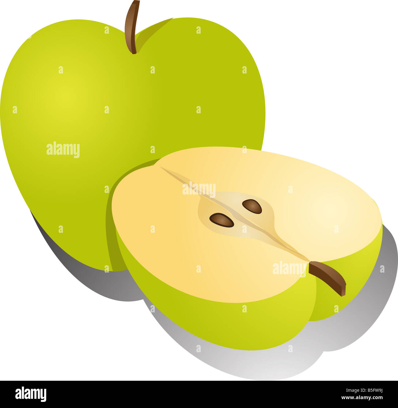 Apple illustration whole and half cross section isometric view Stock ...