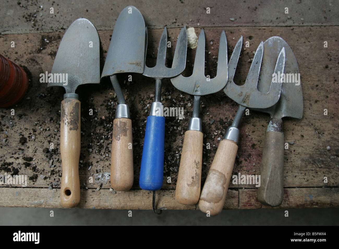 A stock photograph of gardening tools in a potting shed Stock Photo - Alamy
