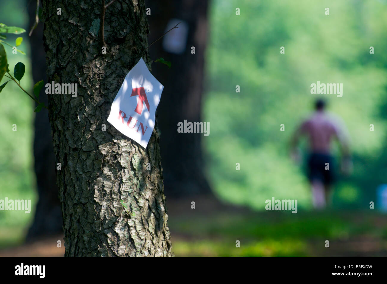 A race trail marking sign posted on a tree marking an Exterra Train ...