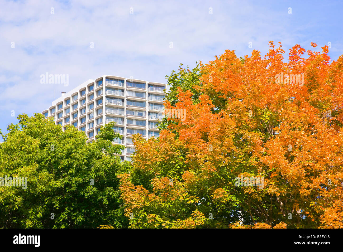 Autumn in the midwest hi-res stock photography and images - Alamy