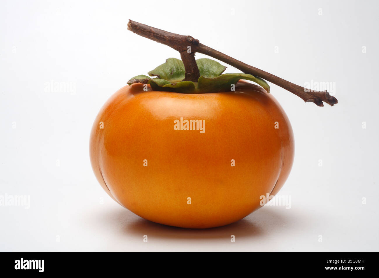 Sharon persimmons hi-res stock photography and images - Alamy