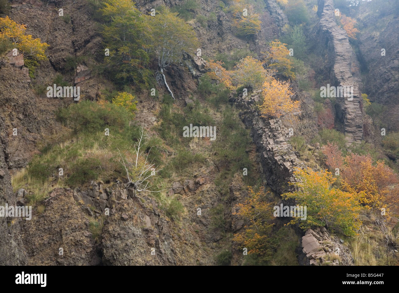 Volcanic dikes exposed in the walls of Valle del Bove, Mt, Etna volcano ...