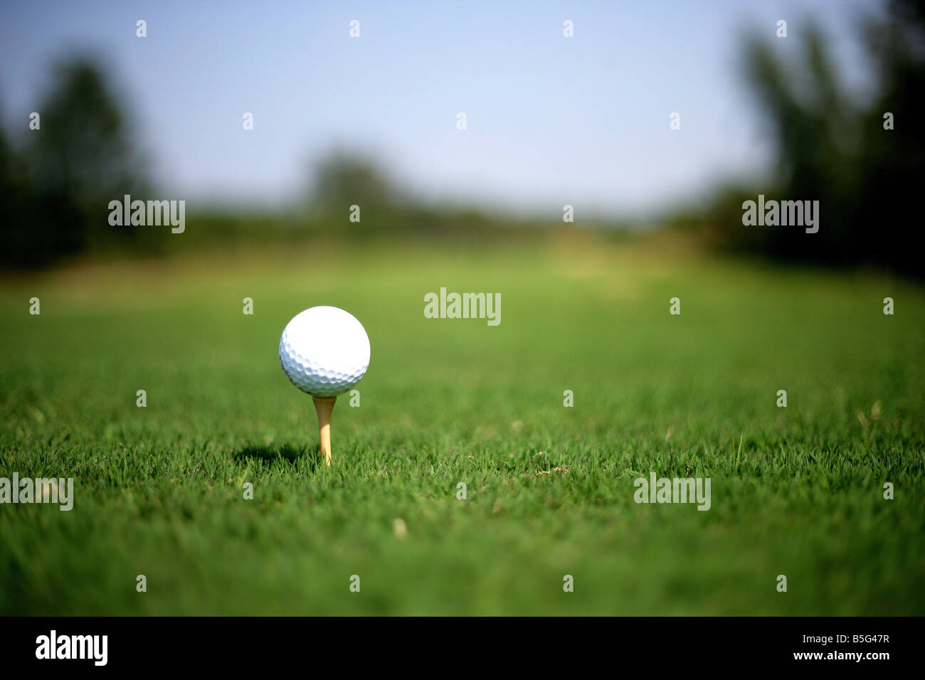 Golf Links and Course Stock Photo - Alamy