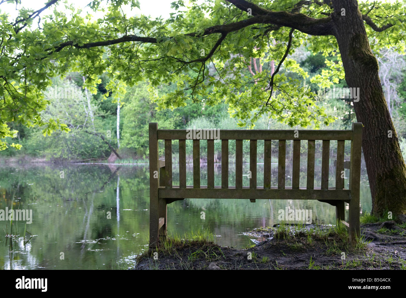 Wooden bench in front of a lake Stock Photo - Alamy
