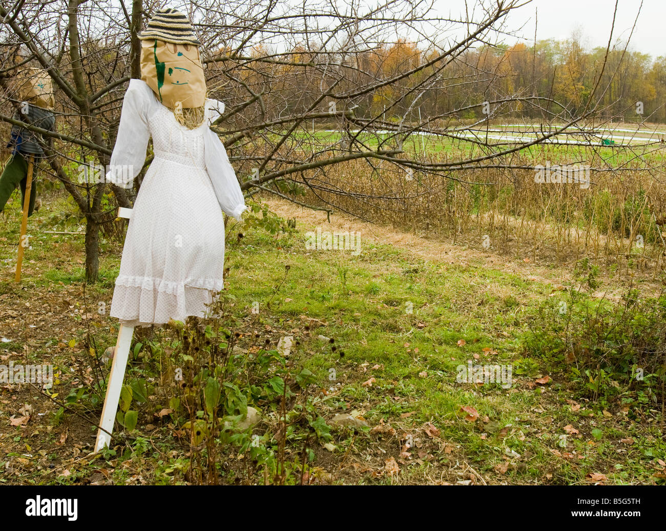 Scarecrow on a farm Stock Photo - Alamy