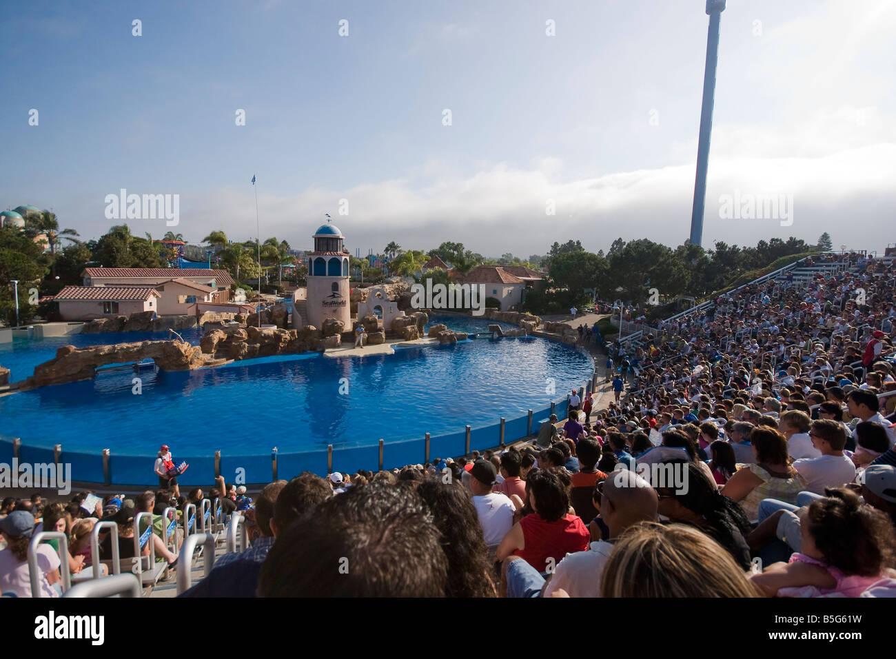 Dolphin stadium hi-res stock photography and images - Alamy