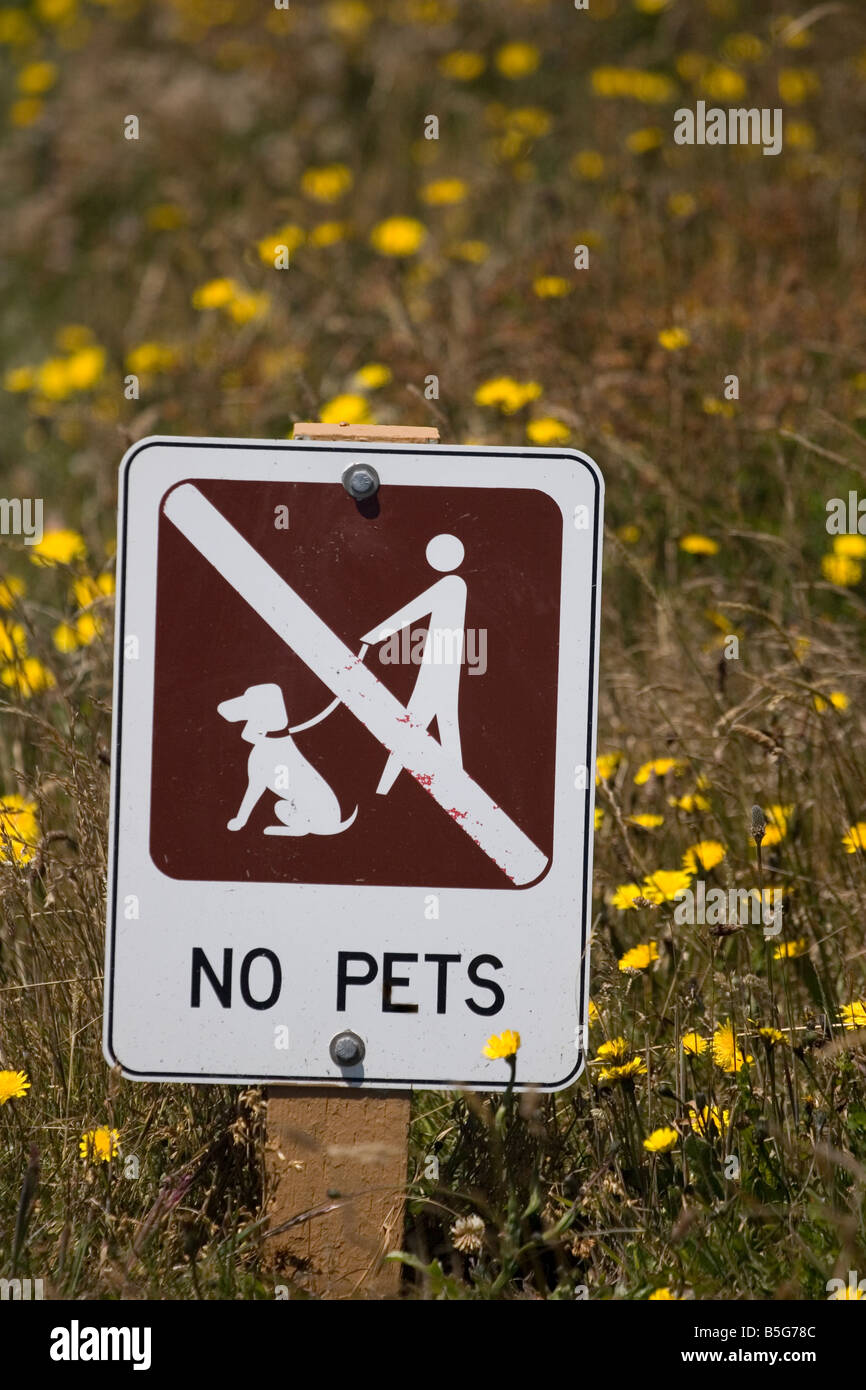 No pets area hi-res stock photography and images - Alamy