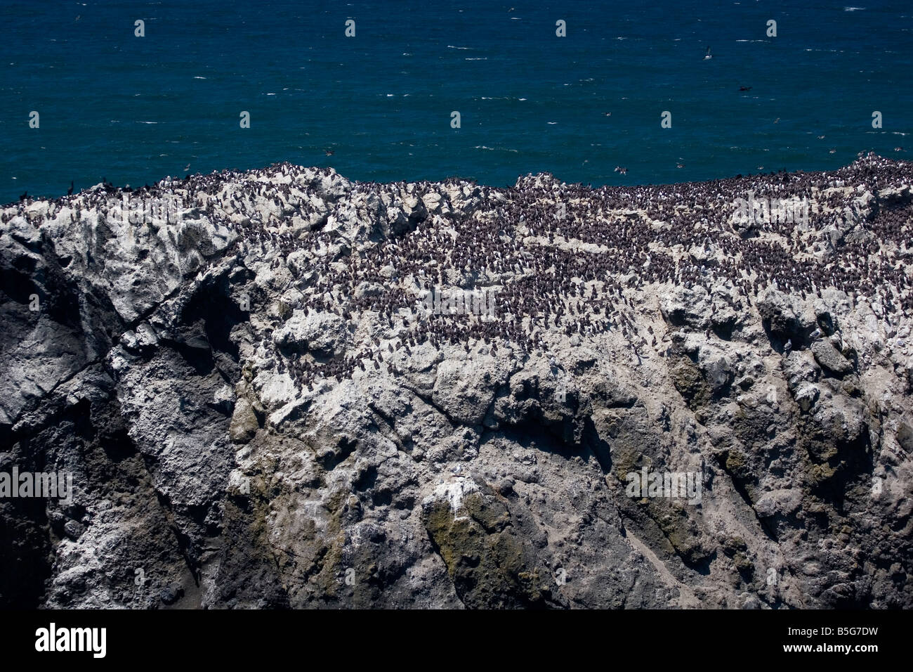 Colony colonies hi-res stock photography and images - Alamy