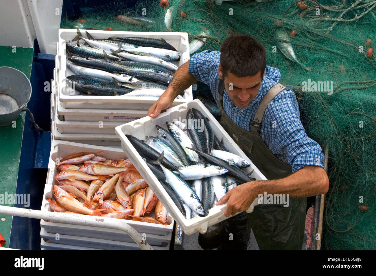 Commercial fish hi-res stock photography and images - Alamy