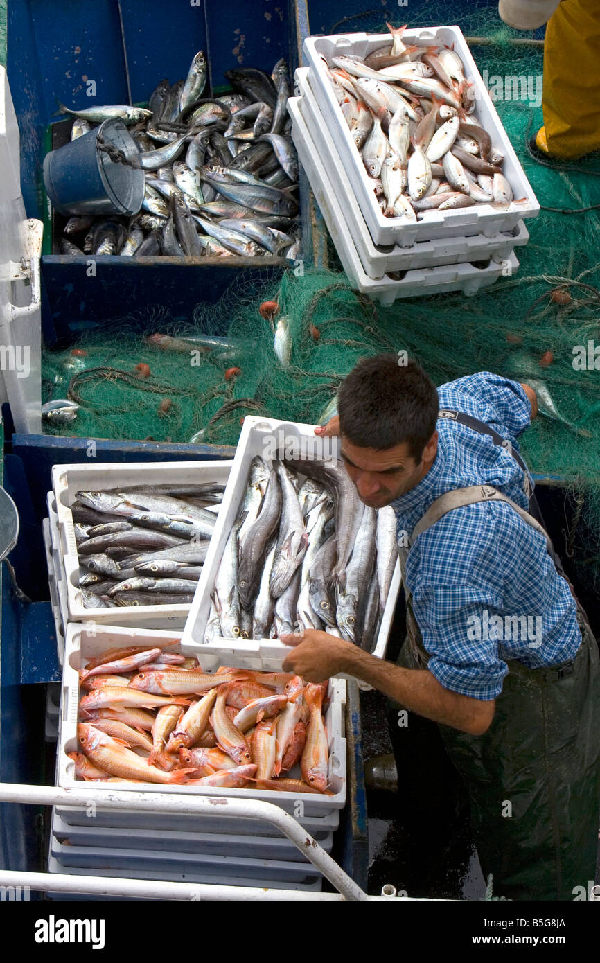 Commercial fish hi-res stock photography and images - Alamy