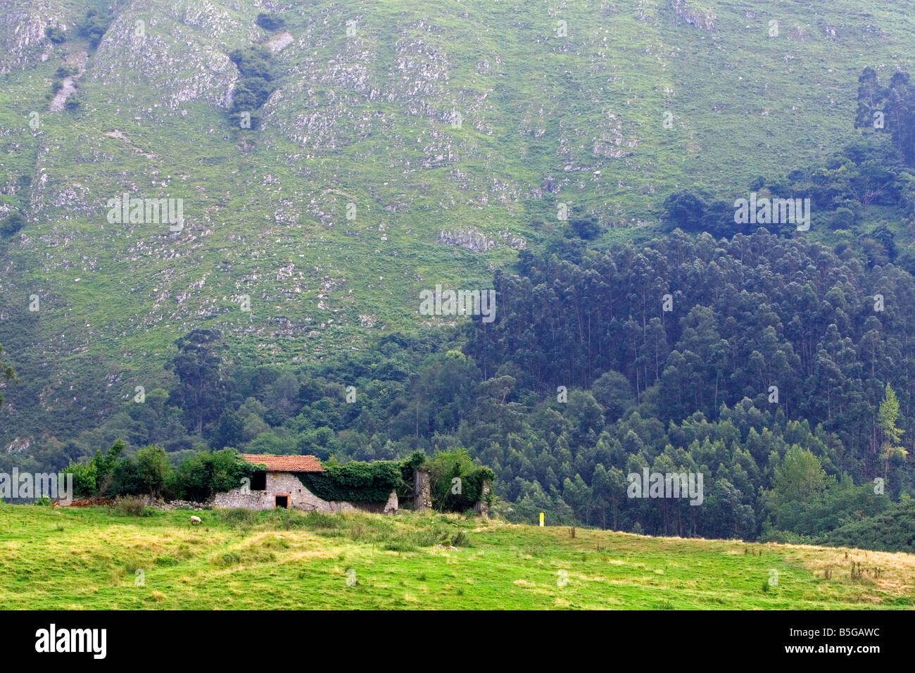 Farmhouse ruins hi-res stock photography and images - Alamy