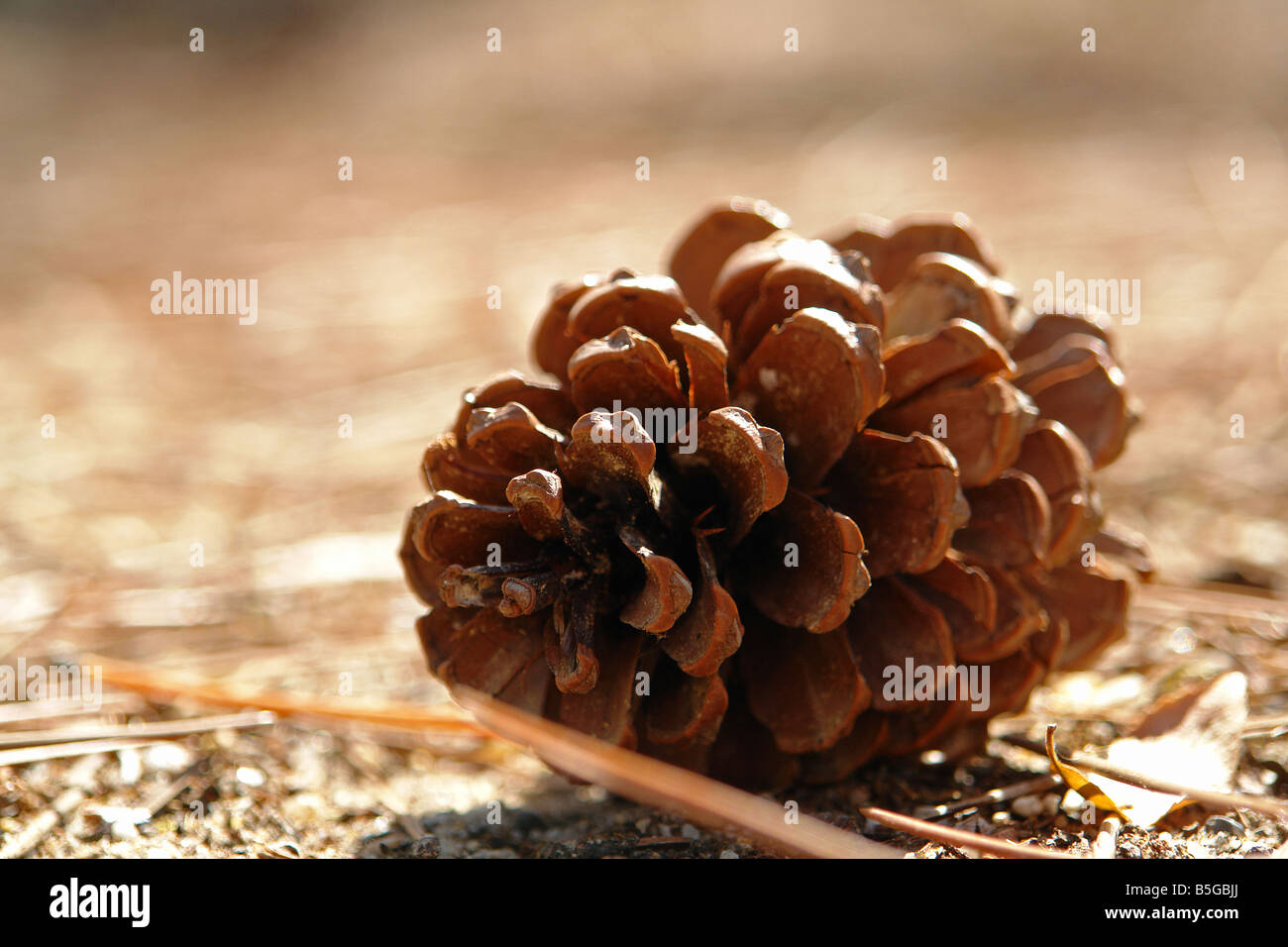 Spherical cones hi-res stock photography and images - Alamy