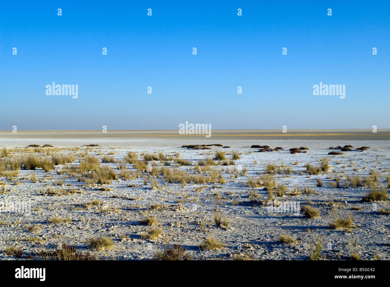 Etosha landscape hi-res stock photography and images - Alamy