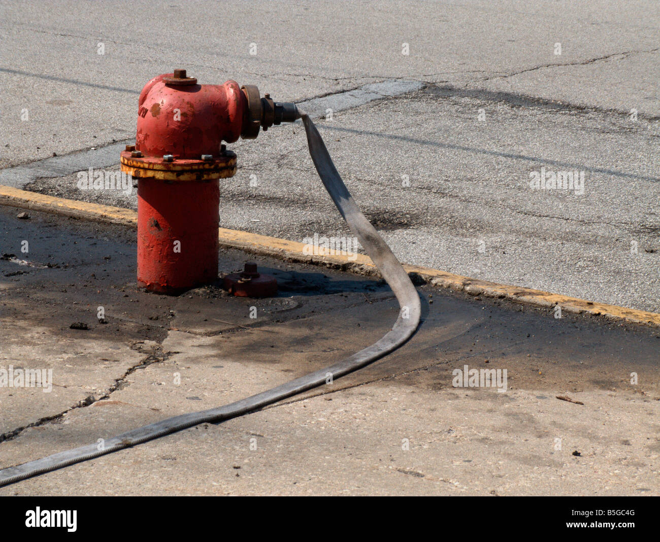 Fire Hydrant. South Columbus Drive. Chicago, Illinois. USA Stock Photo ...