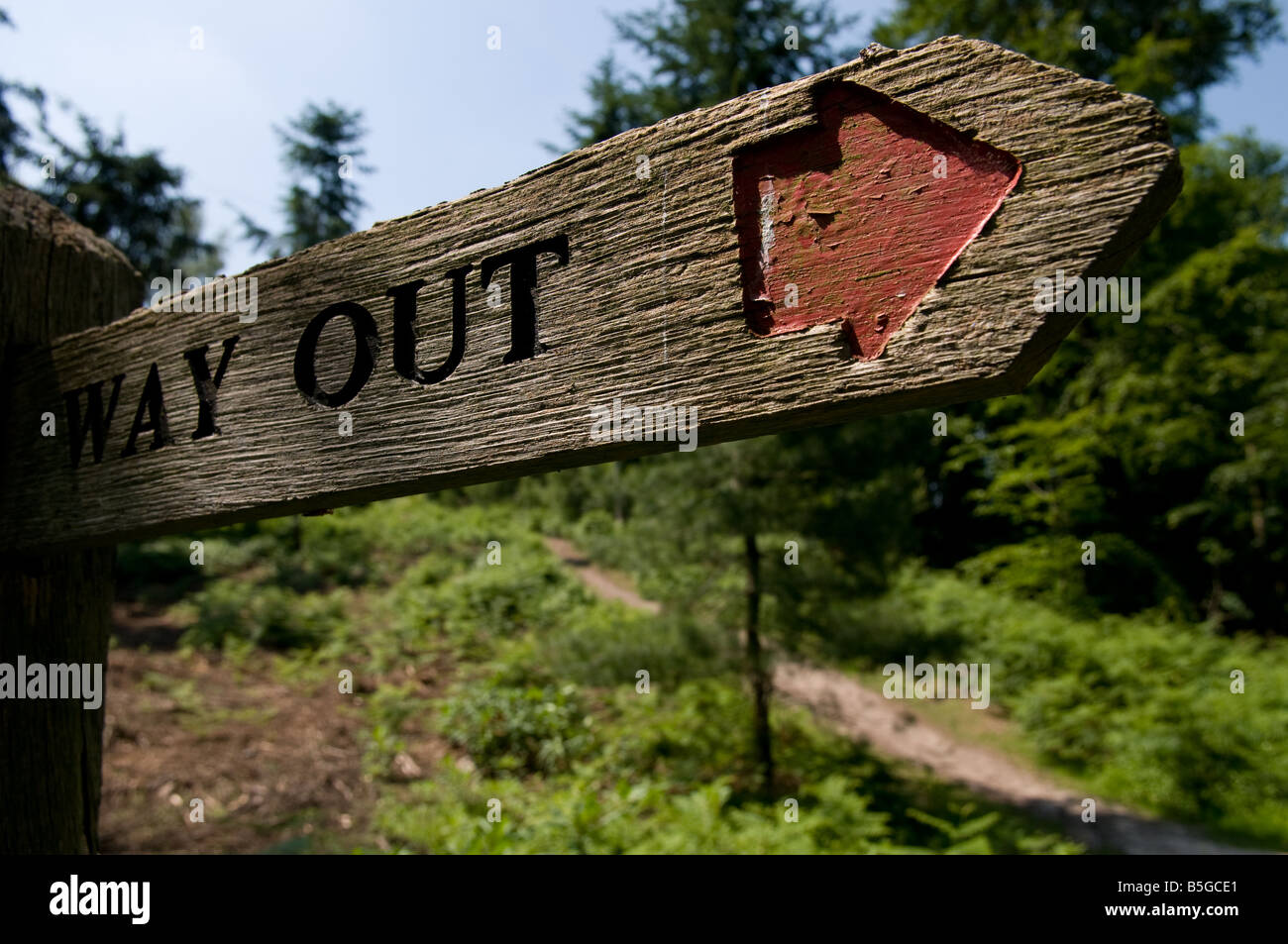 A wooden finger point sign in woodland saying way out Stock Photo - Alamy